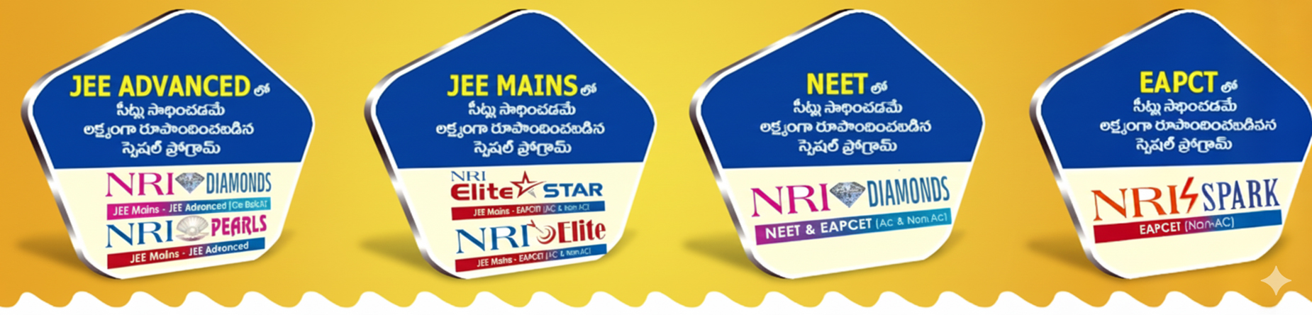 NRI Educational Society