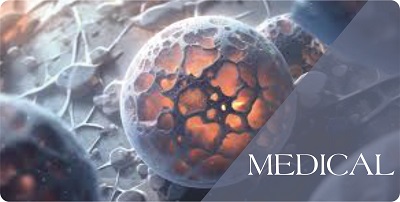 NRI Educational Society