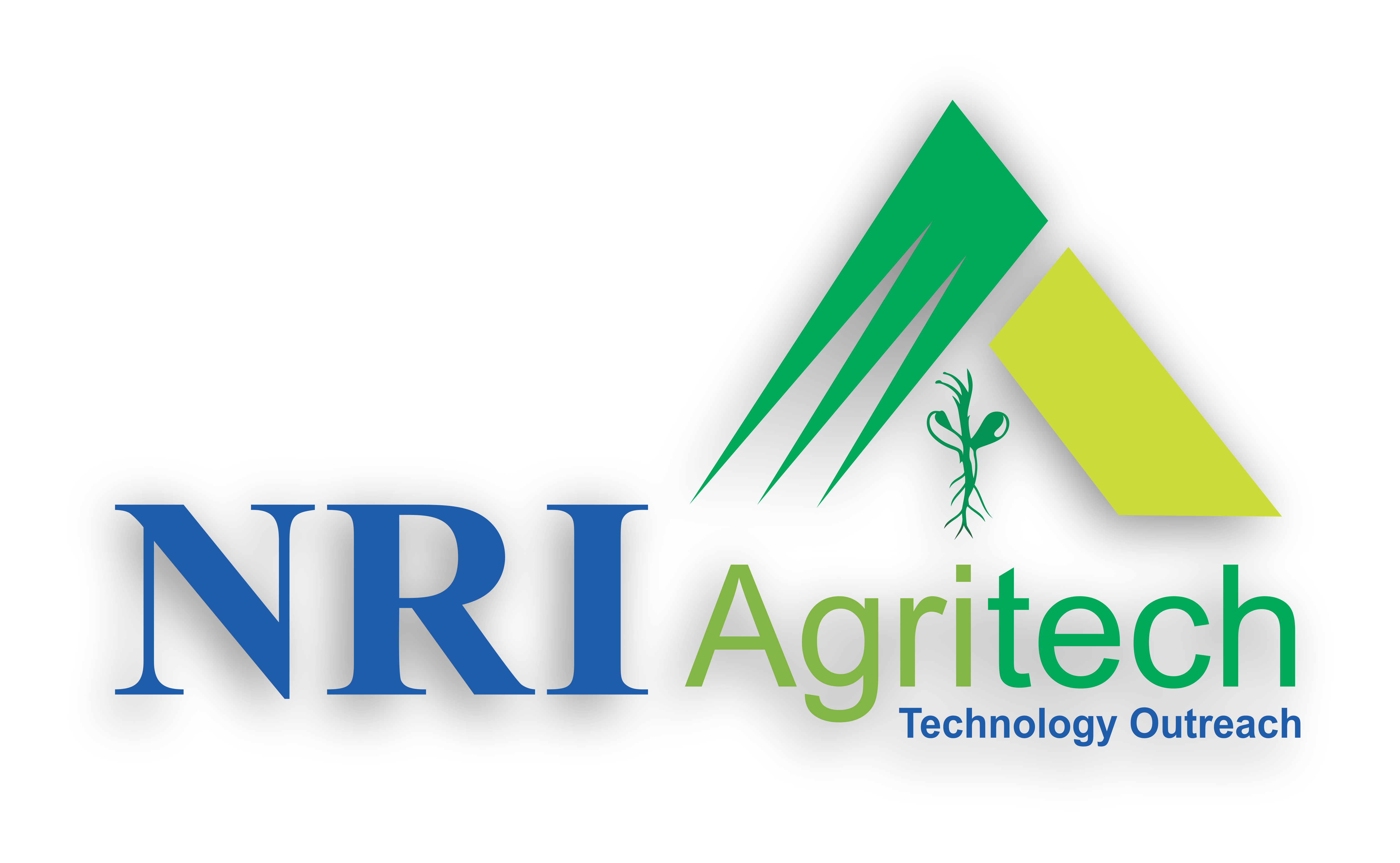 NRI Educational Society